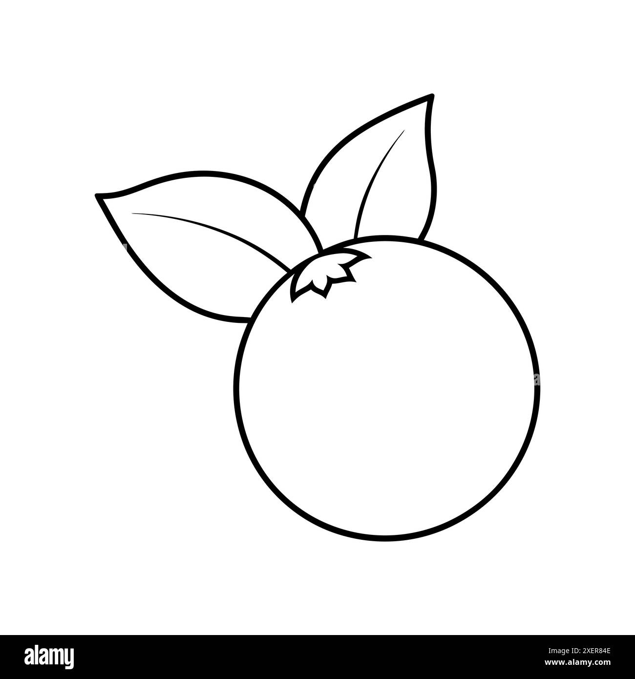 Blueberry line art illustration Stock Vector Image & Art - Alamy