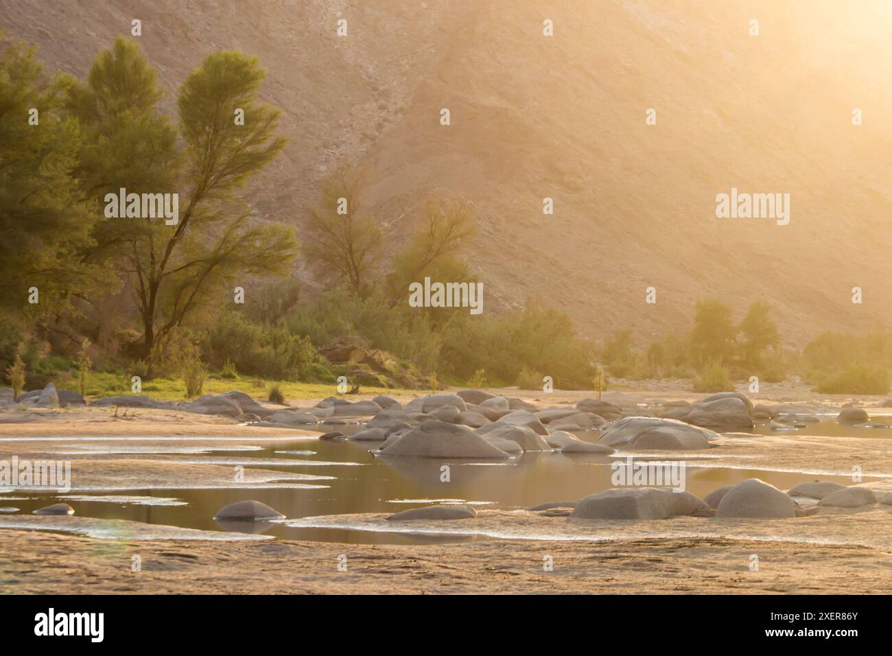 Golden light at dawn, at one of the rare, vegetated riverbanks of the ...
