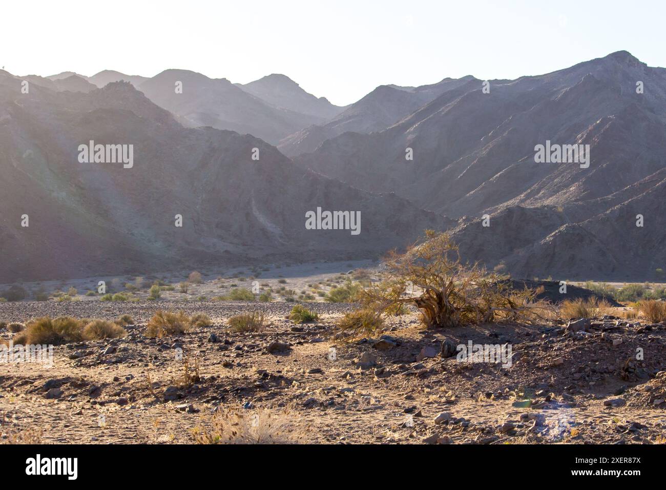 Distant barren mountains of the /Ais-/Ais/Richtersveld of southern ...