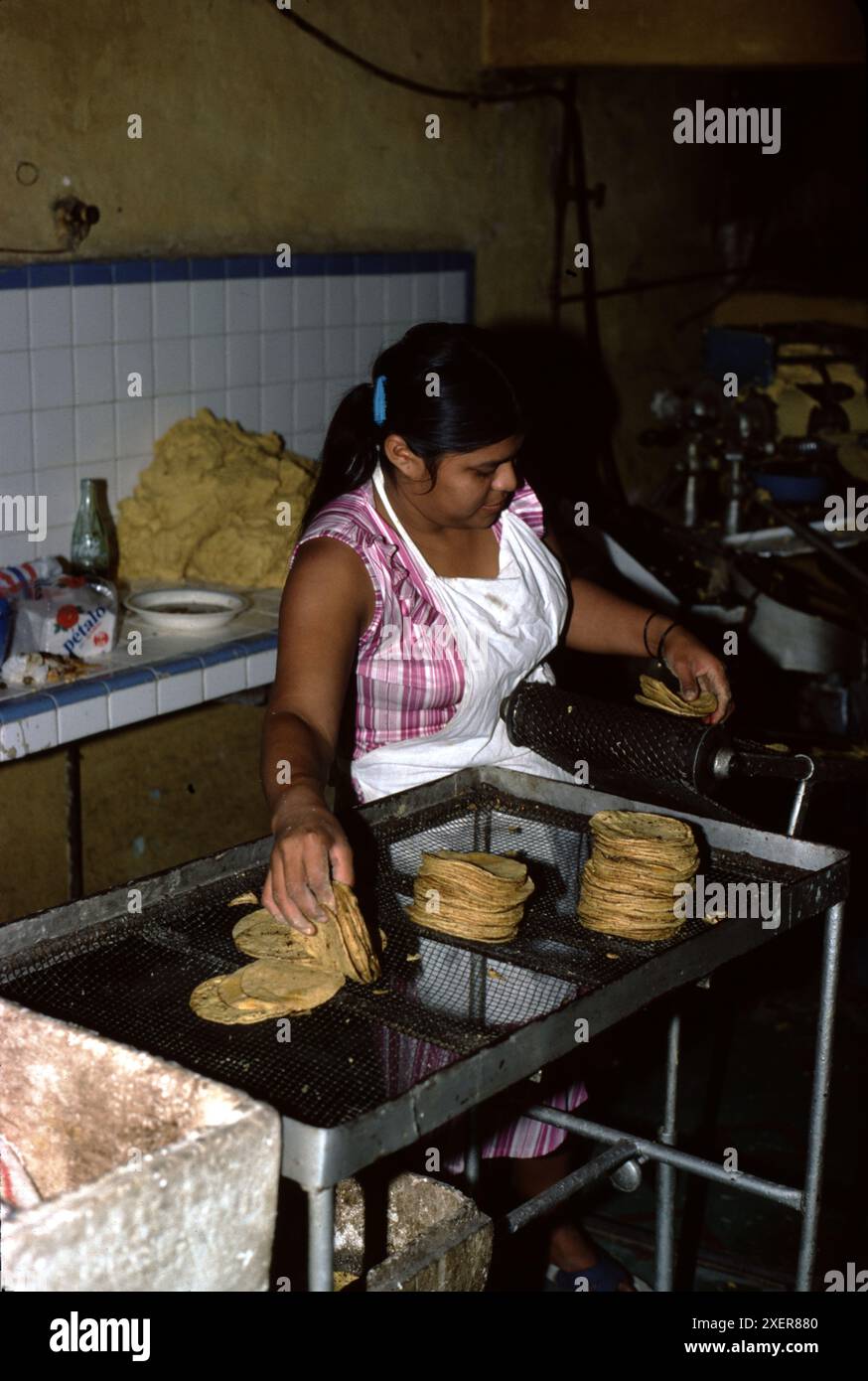 Merida, Mexico. 12/27/1985. Tortilla bakery in Merida’s market district ...