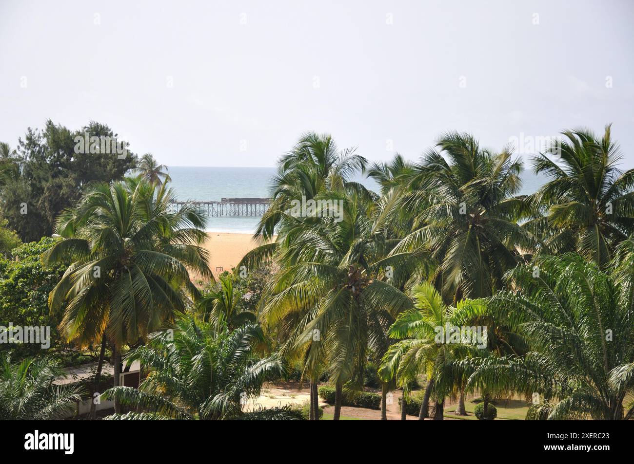 Gulf of Guinea, sandy beaches and luxurious Palm Trees, Lome, Togo ...