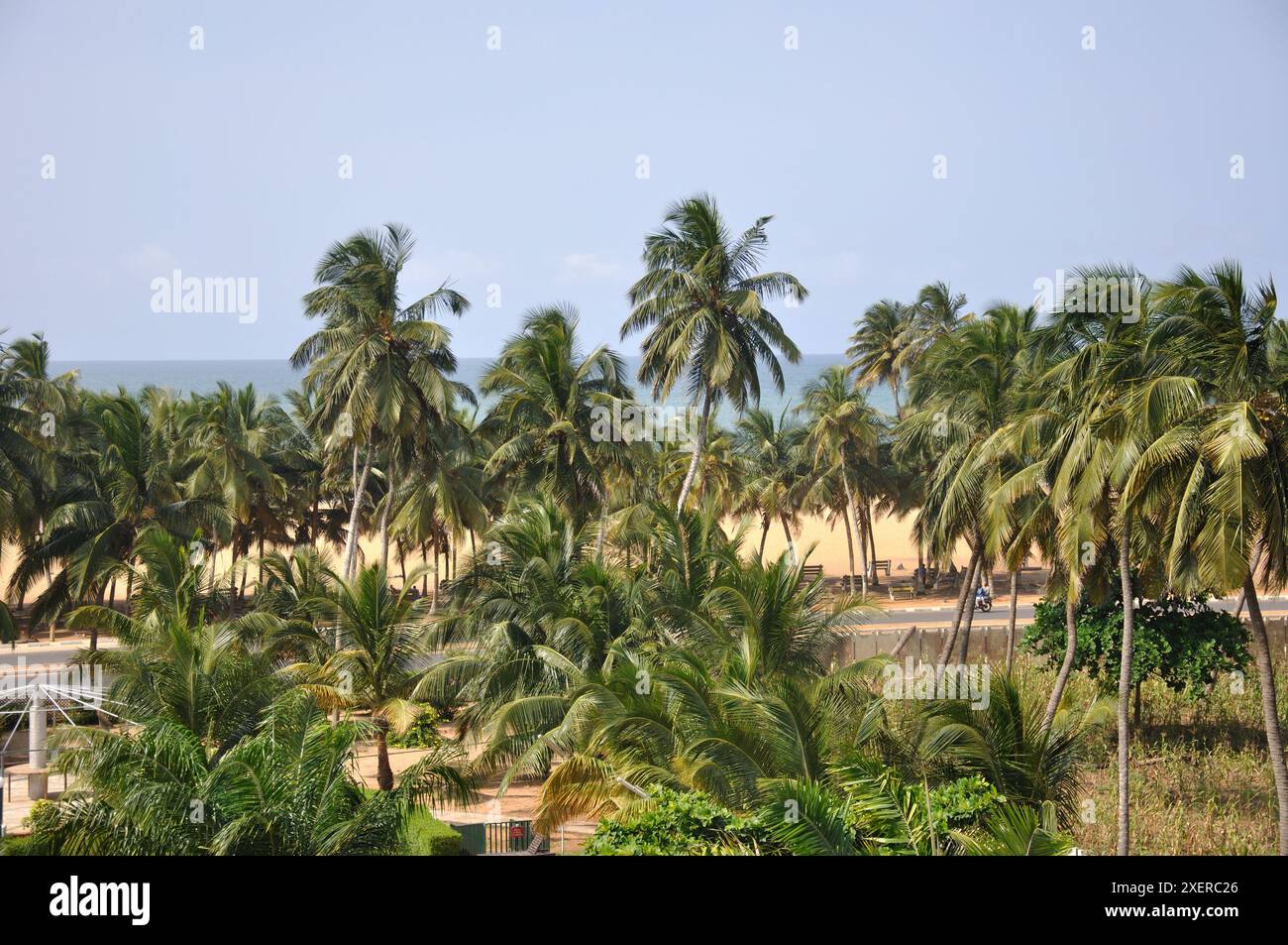 Gulf of Guinea, sandy beaches and luxurious Palm Trees, Lome, Togo ...