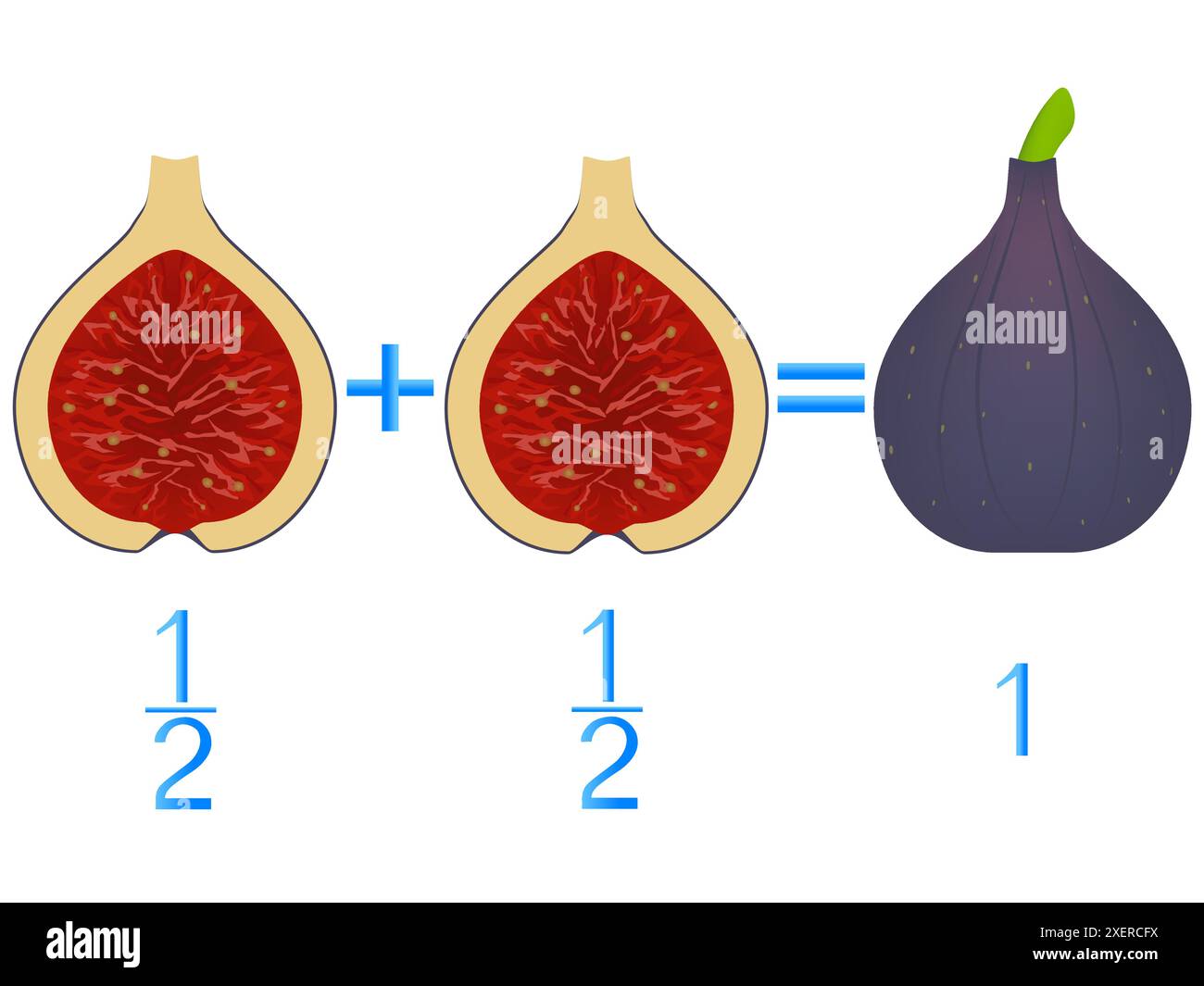 Action relationship of addition halves, examples with figs. Educational ...