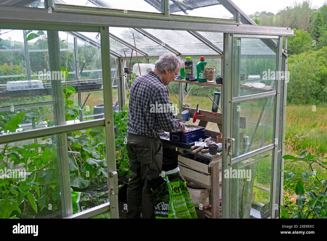 Rear back view of a man gardener looking through seed packets in box ...