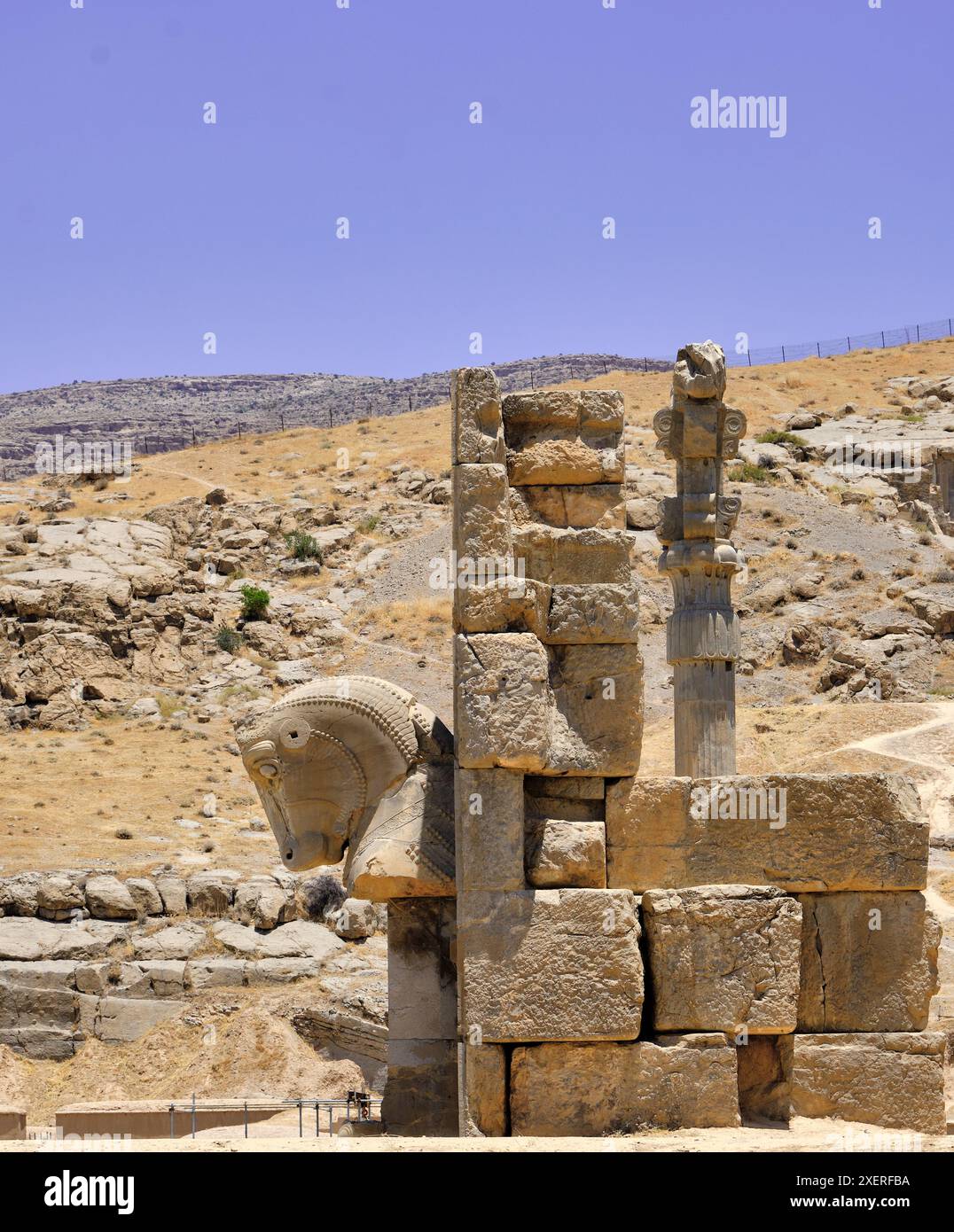 Archaeological ruins of Persepolis Iran Asia Stock Photo - Alamy