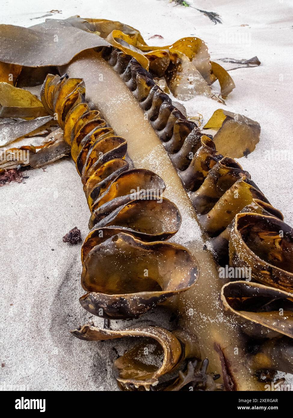 All rights reserved Stock Photo - Alamy