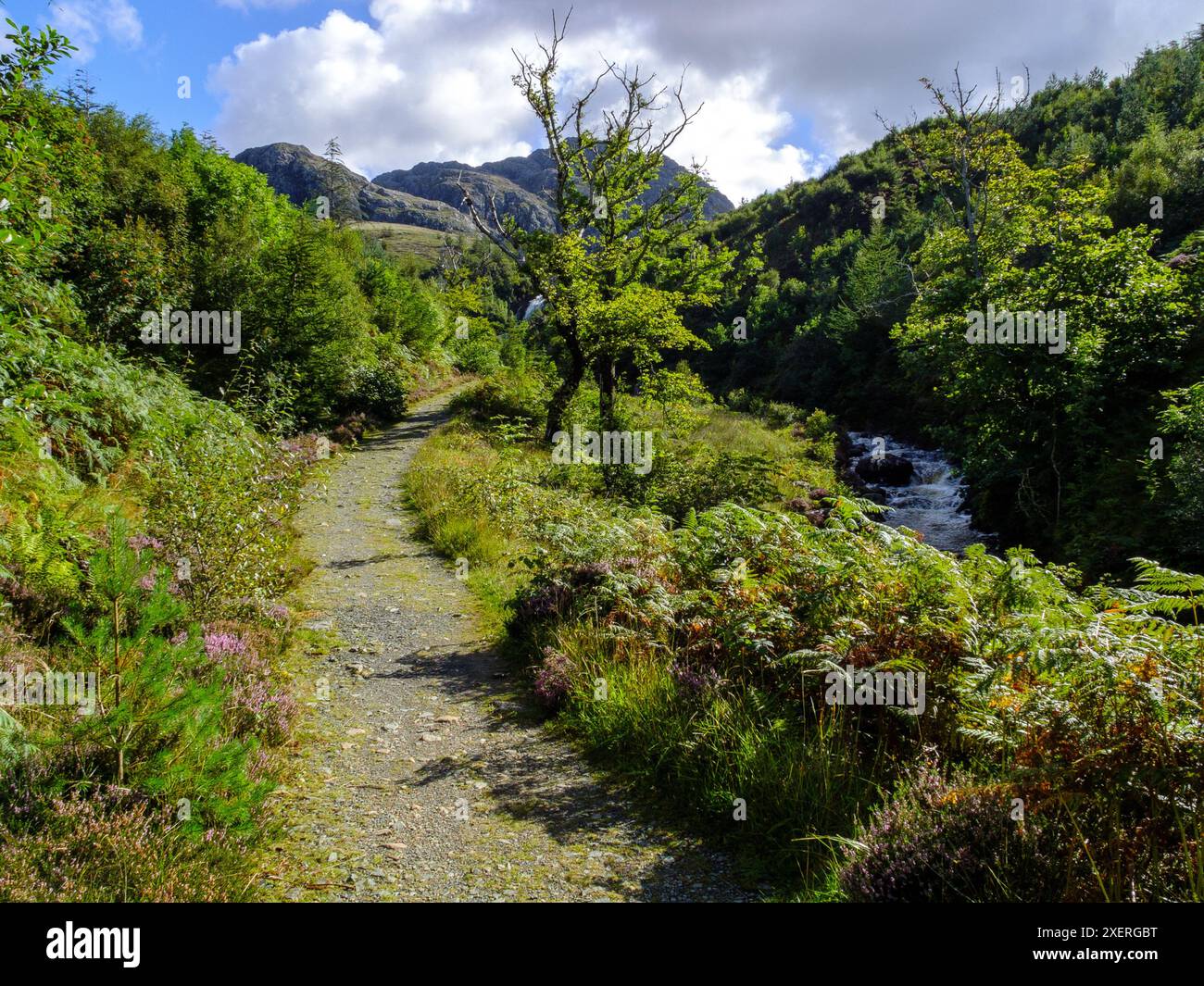 The path at the beginning of the walk up to the Flowerdale Falls in ...