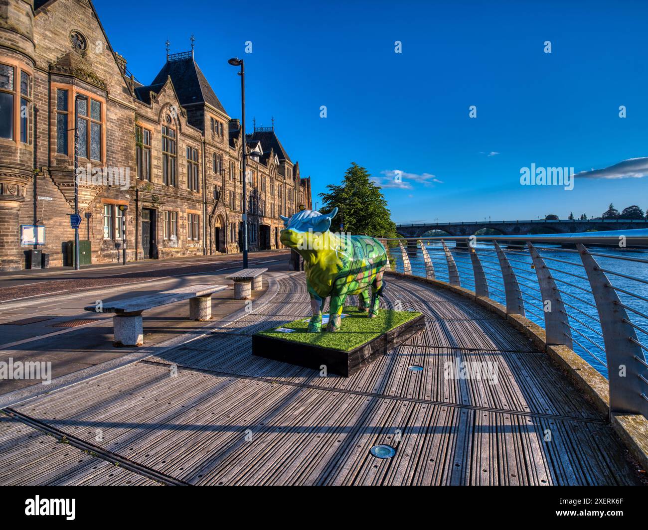 The Hairy Highland Coo Trail installed I the Perth & Kinross area by ...