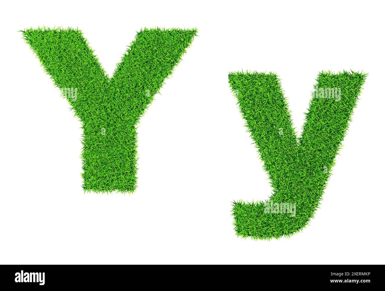 Letter y nature hi-res stock photography and images - Alamy