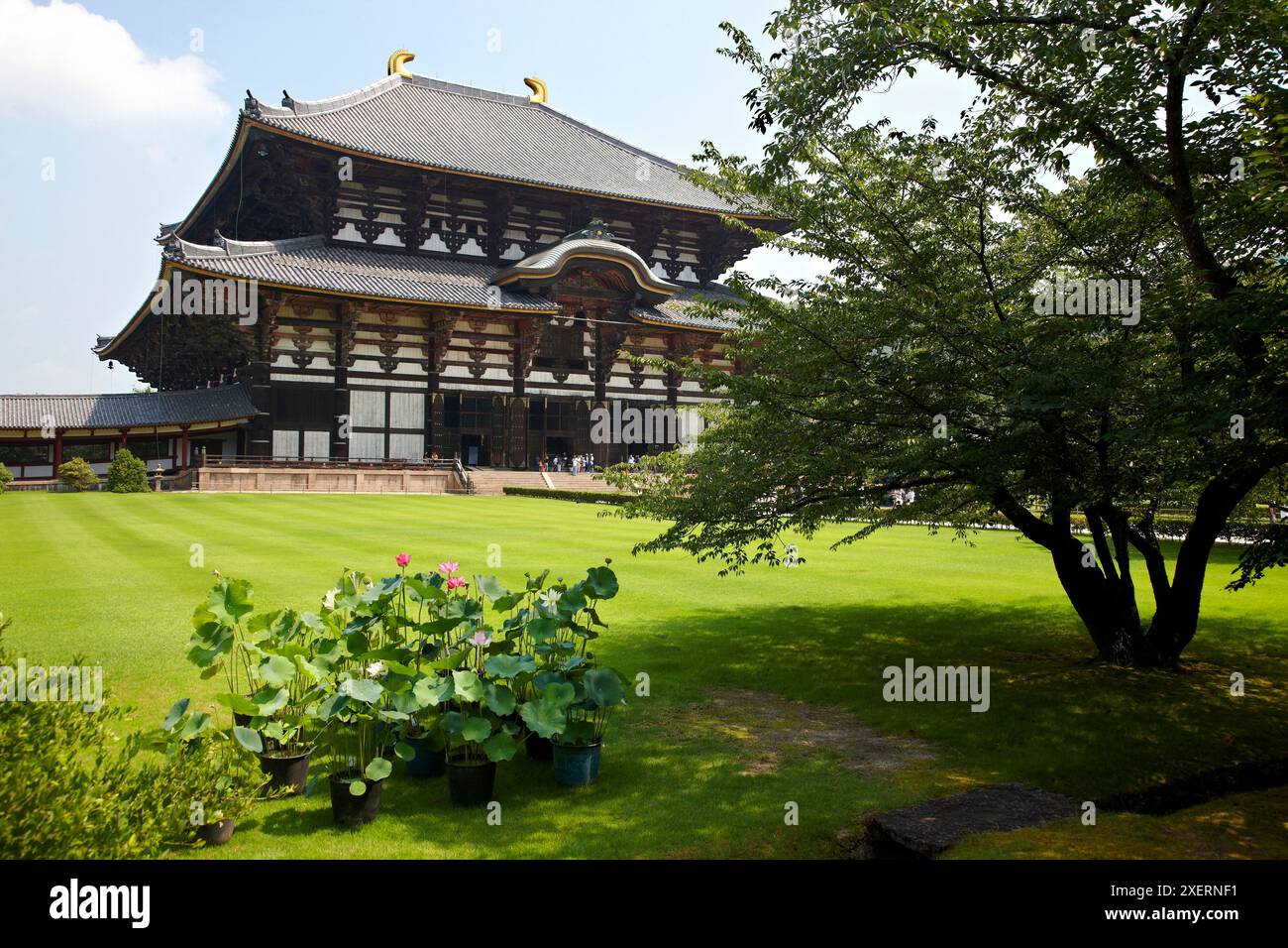 Todai-ji Temple, Nara Park, Nara, Japan Stock Photo - Alamy