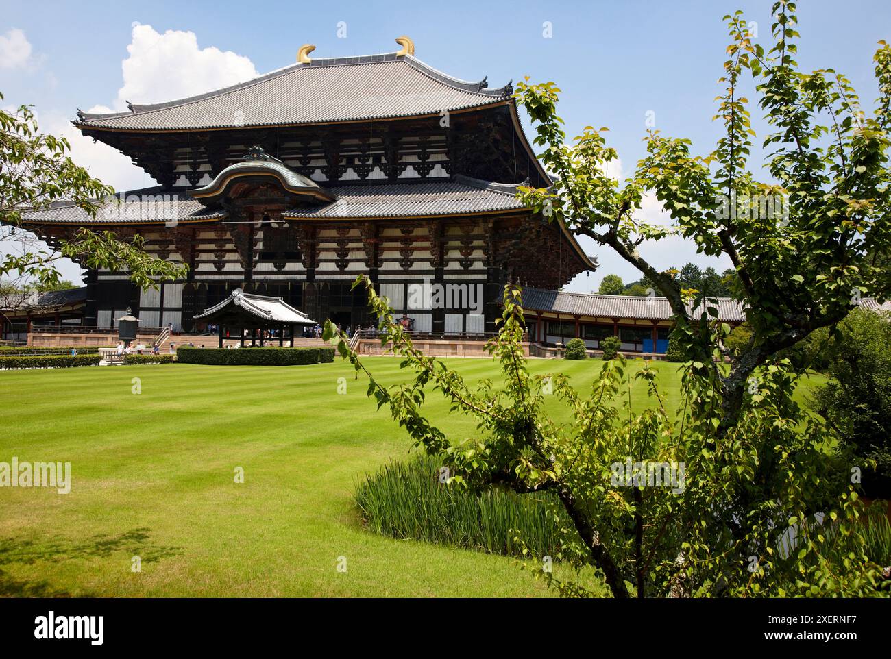 Todai-ji Temple, Nara Park, Nara, Japan Stock Photo - Alamy
