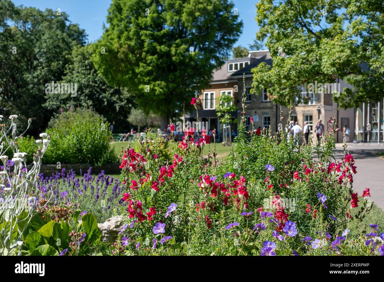 Sunny day at Pinner Memorial Park, showing flowers and lake in the ...