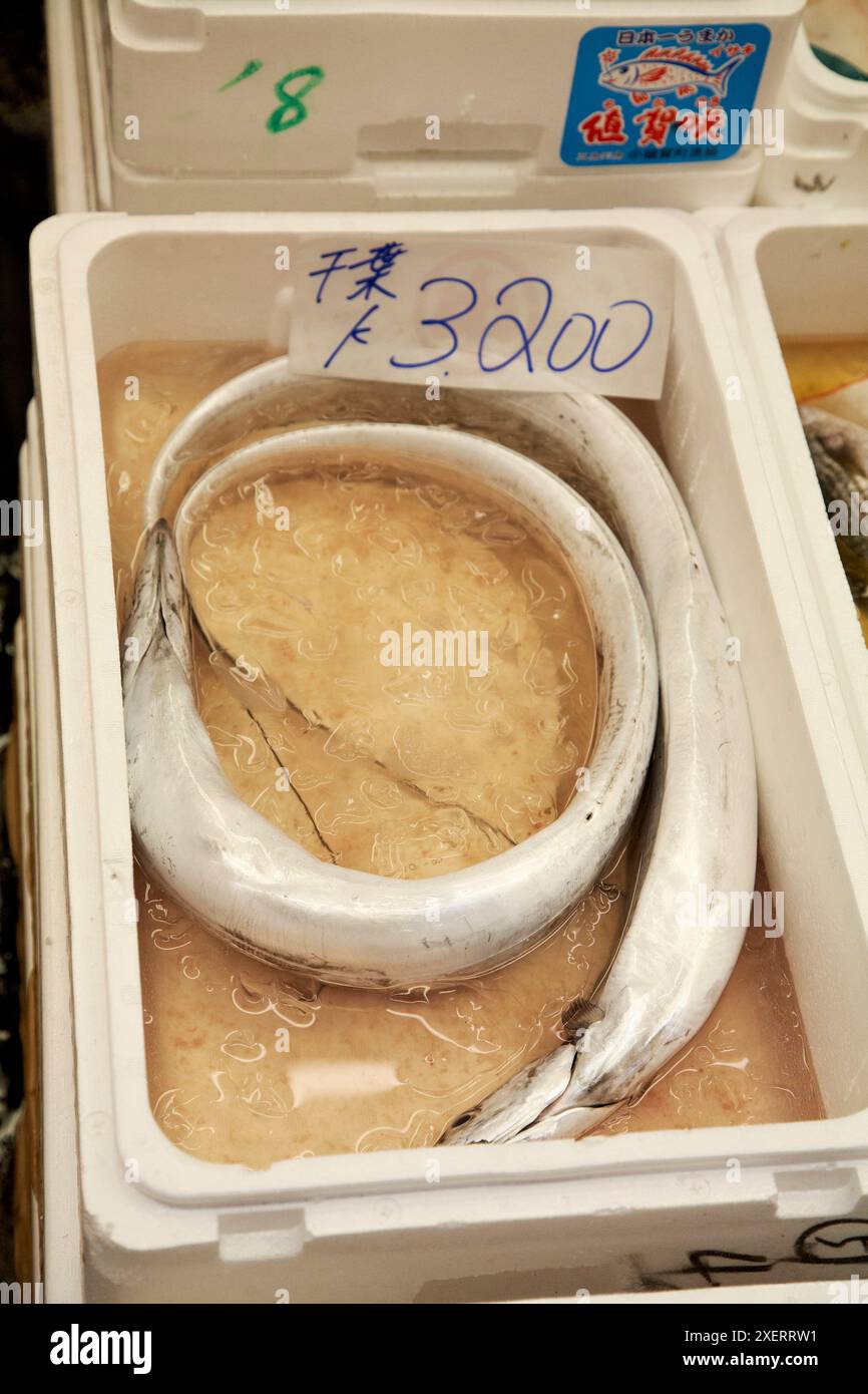 Eels tsukiji fish market hi-res stock photography and images - Alamy