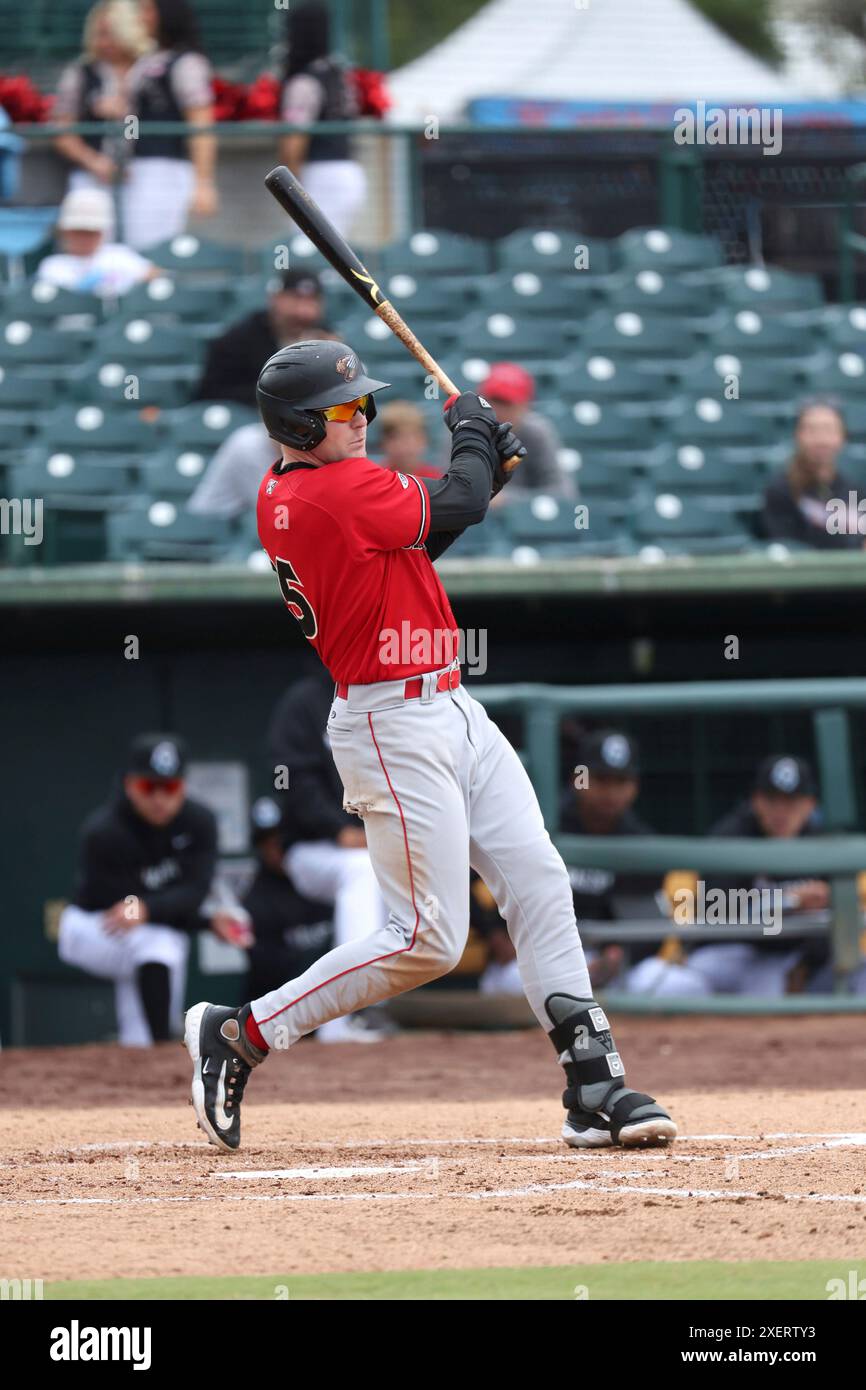 Jason Hinchman (25) of the Fresno Grizzlies bats against the Cucuys de ...