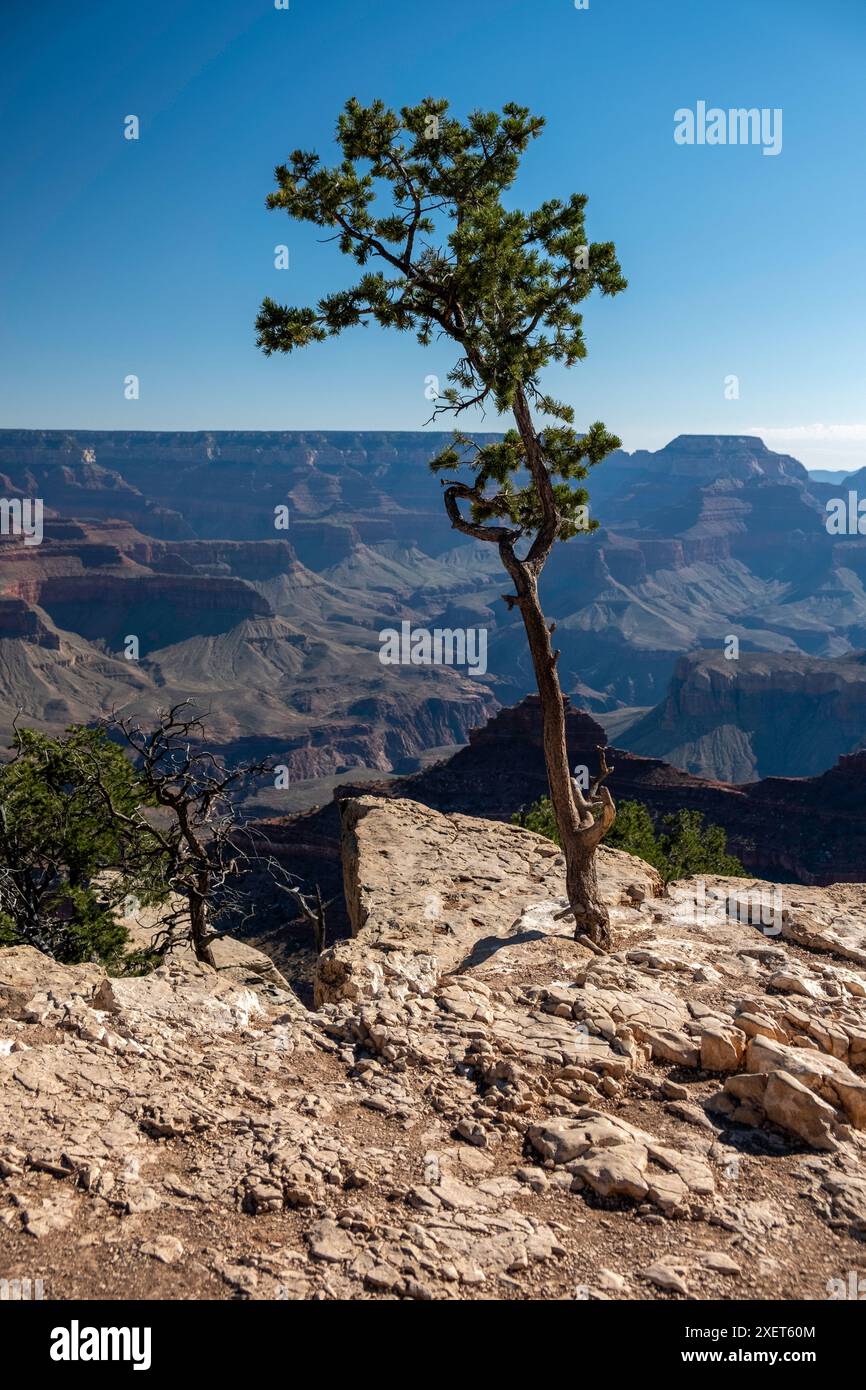 Grand canyon daytime hi-res stock photography and images - Alamy
