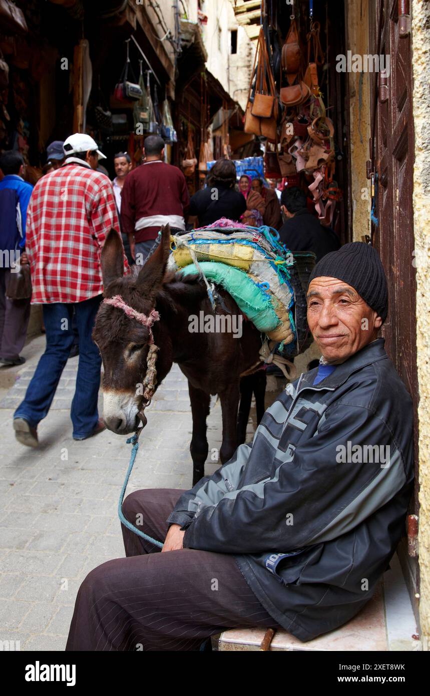 Fez el bali donkey hi-res stock photography and images - Alamy
