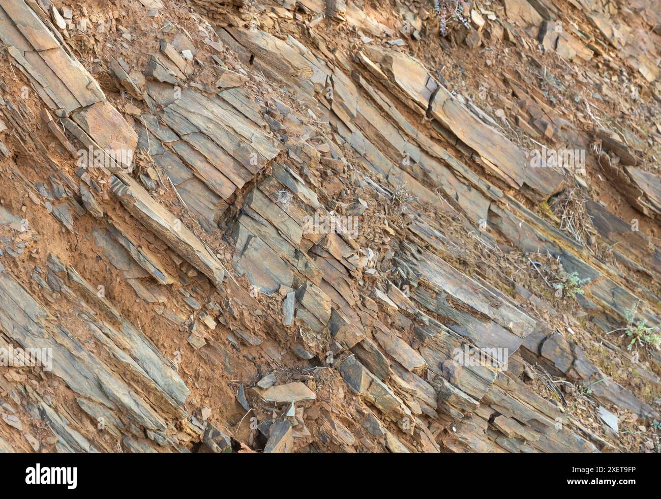 The unique soils of the Priorat region of Spain with different coloured ...