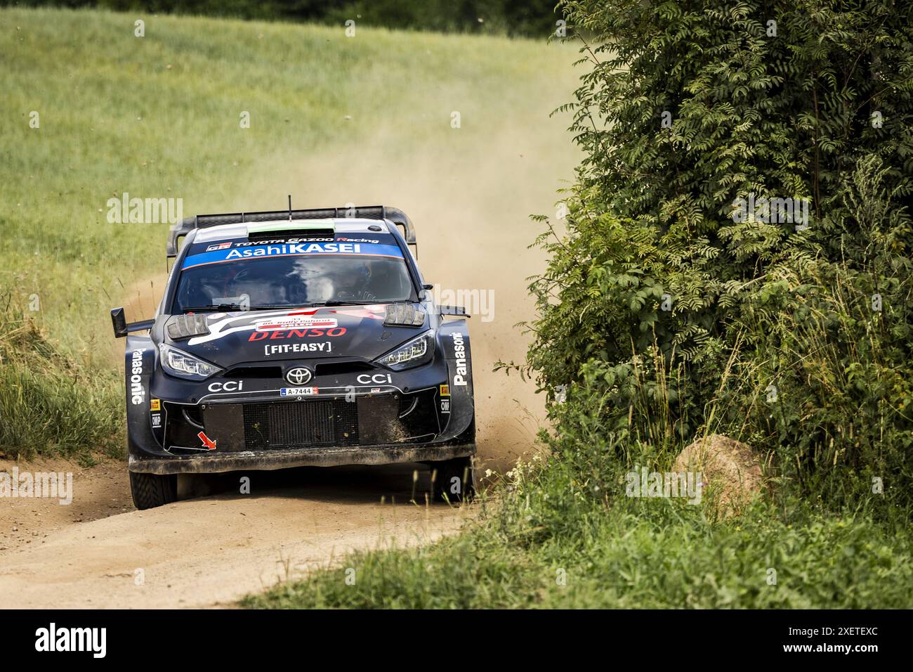 33 EVANS Elfyn, MARTIN Scott, Toyota GR Yaris Rally1, action during the ...