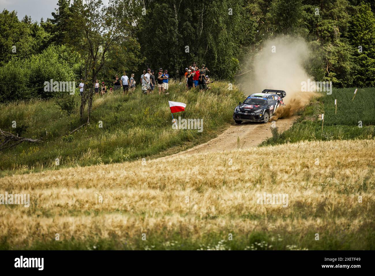 33 EVANS Elfyn, MARTIN Scott, Toyota GR Yaris Rally1, action during the Rally Poland 2024, 7th ...