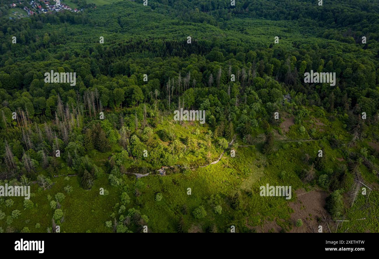 Aerial view, hiking group taking a break in a wooded area on the ...