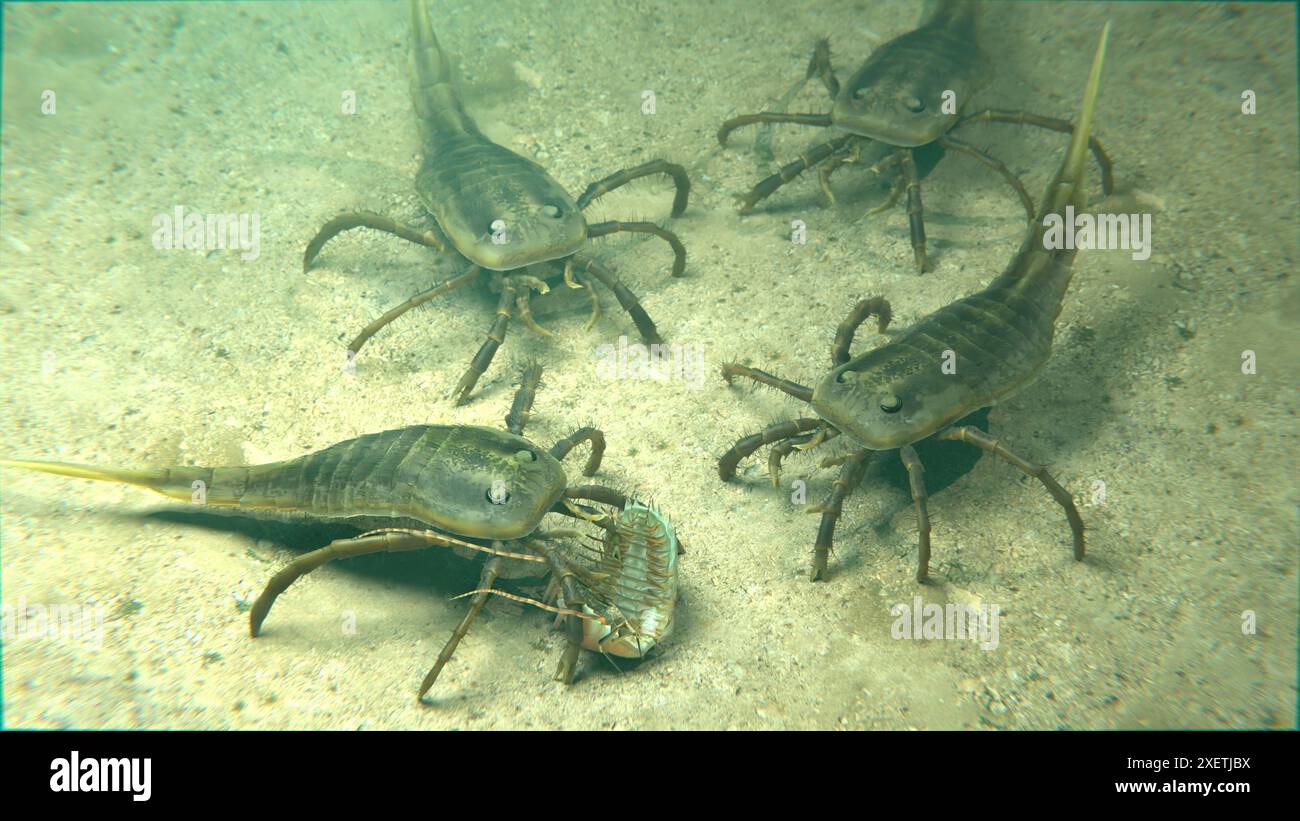 An illustration of the extinct Eurypterids Kokomopterus (sea scorpions ...