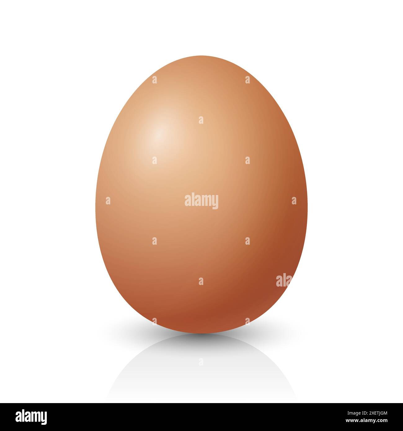 Vector Realistic Brown Chicken Egg Icon Closeup Isolated. Glossy ...