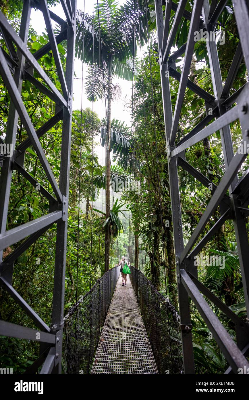 Arenal View Hanging bridge, Mistico, Arenal Hanging Bridges Park, Costa ...