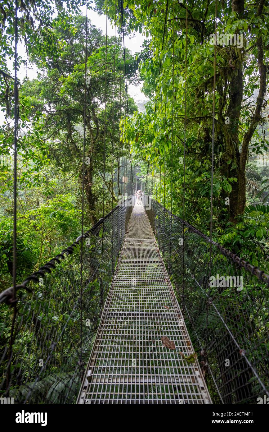 Hanging bridge, Mistico, Arenal Hanging Bridges Park, Costa Rica ...