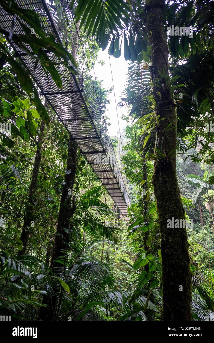 Puente mistico Hanging bridge, Arenal Volcano National Park, Costa Rica ...