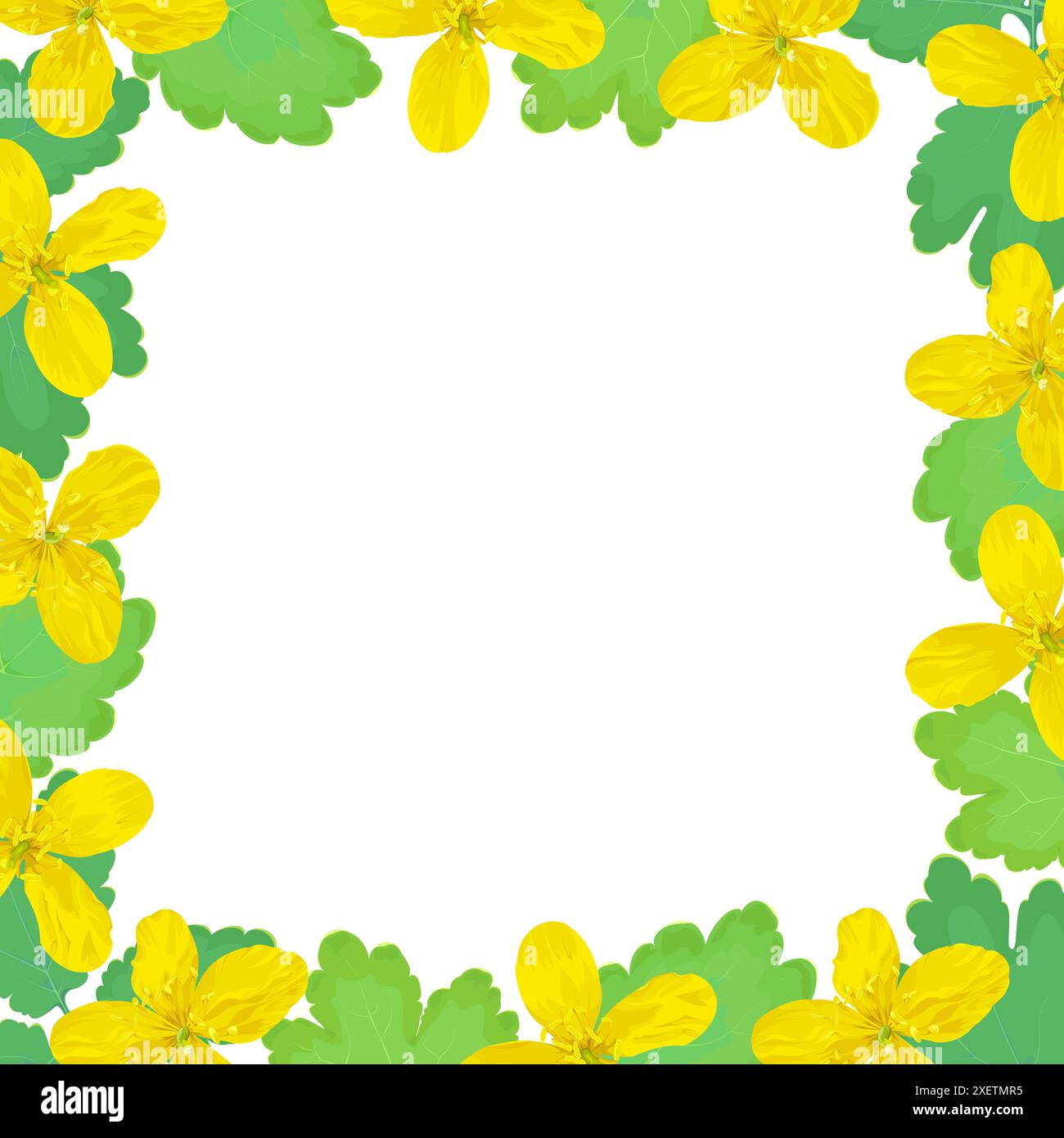 Square frame, pattern of celandine flowers on a white background Stock ...