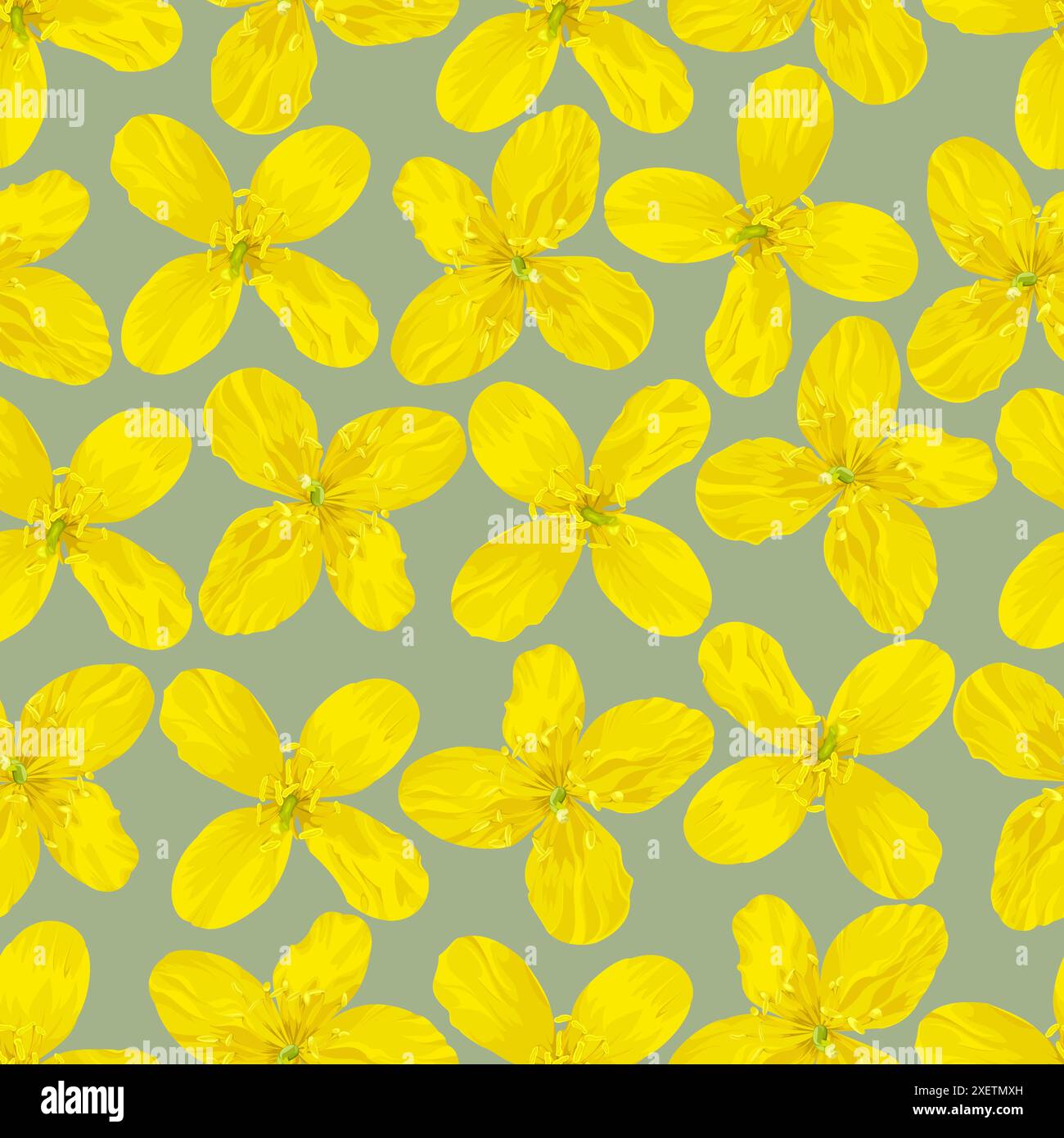 Plant callus Stock Vector Images - Alamy