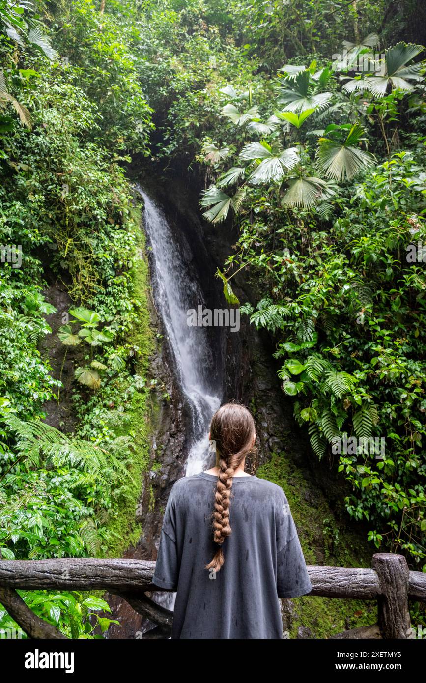 Bleu morphs waterfall, Mistico Hanging Bridge Park, Costa Rica, Central ...