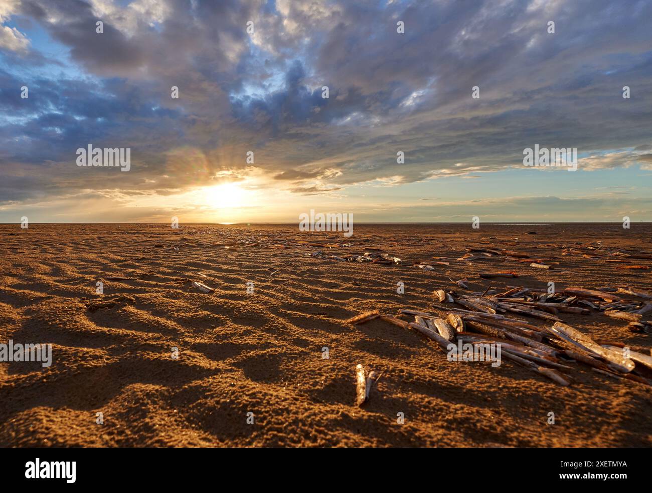 Explore old hunstanton hi-res stock photography and images - Alamy