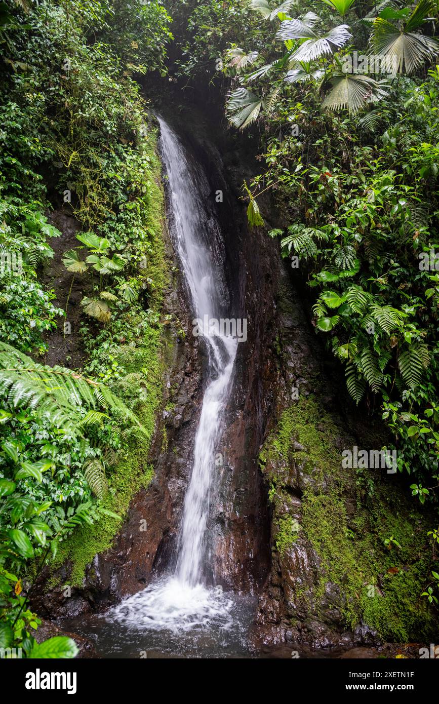 Bleu morphs waterfall, Mistico Hanging Bridge Park, Costa Rica, Central ...
