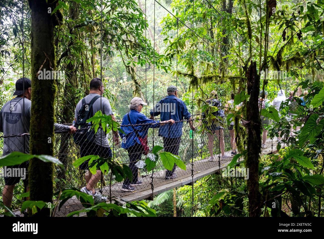 People walking over Fer-de-Lance hanging bridge, Mistico Hanging Bridge ...