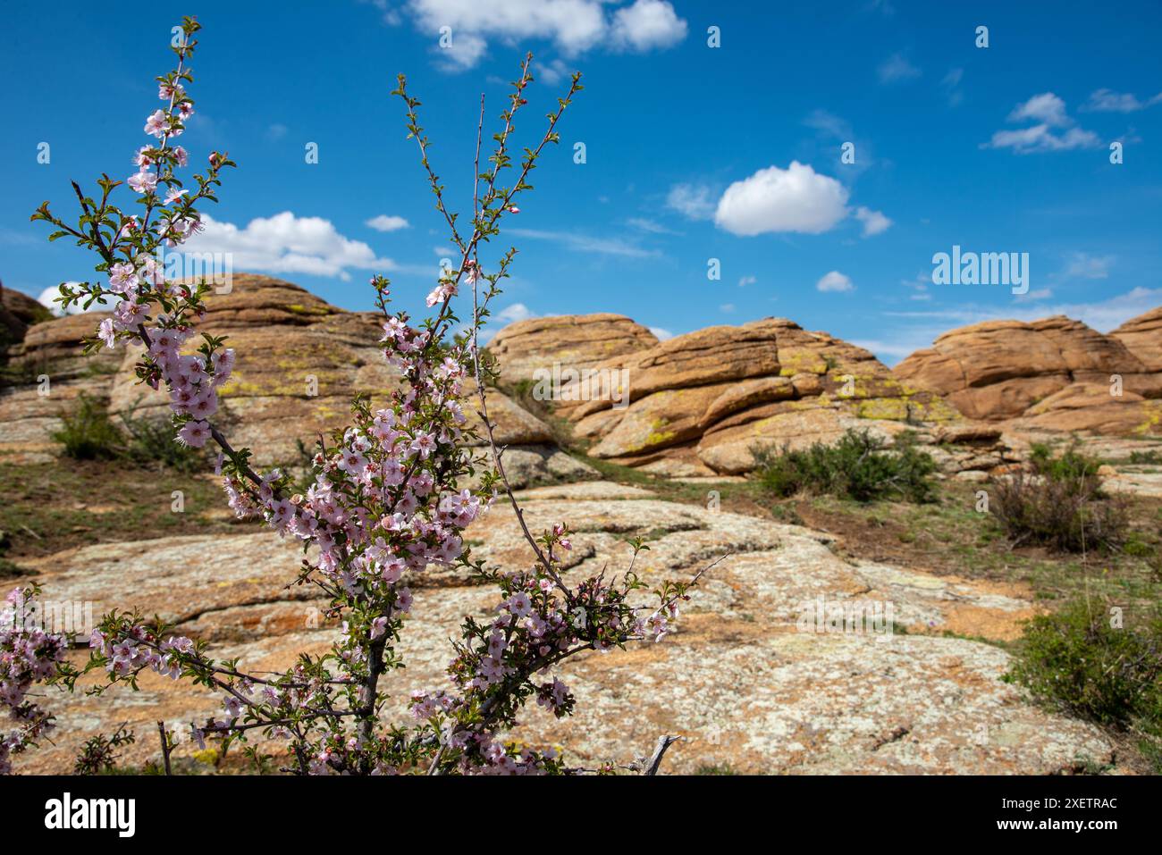 Baga national park hi-res stock photography and images - Alamy