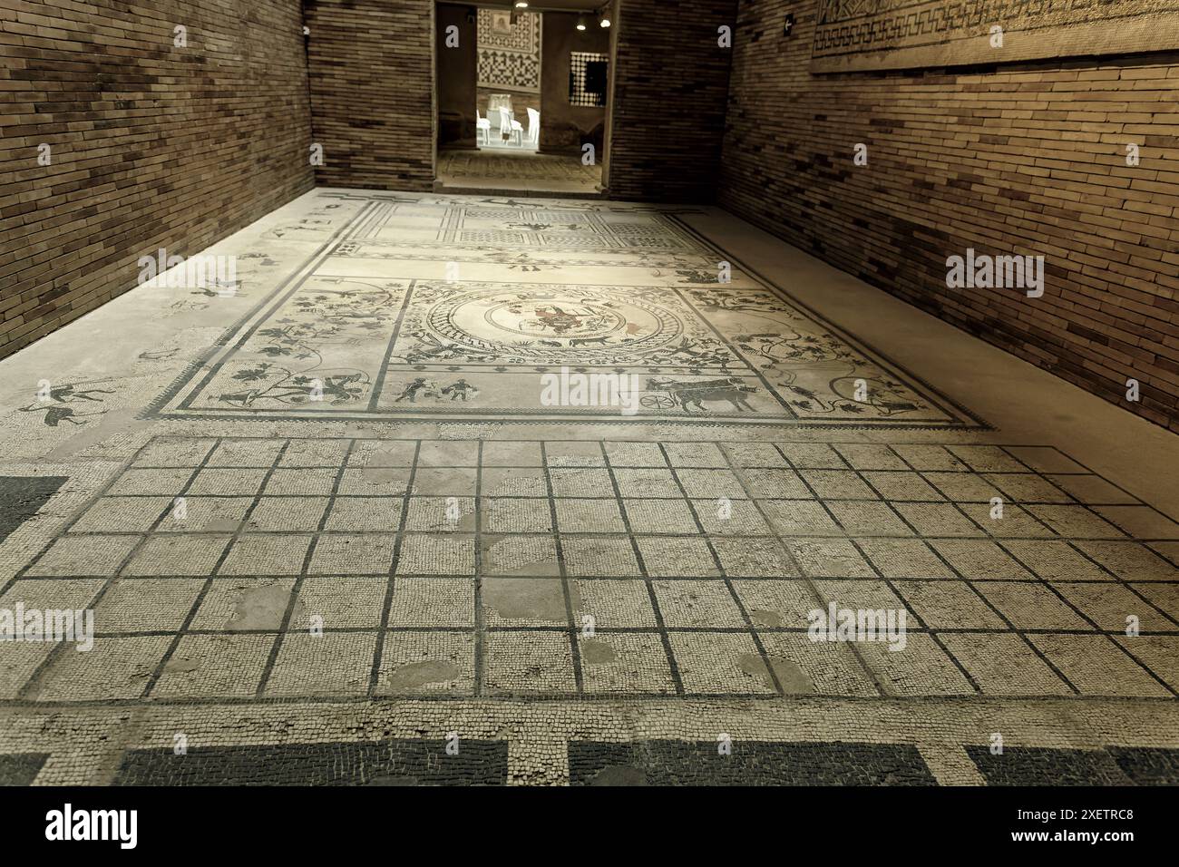 Exhibit intricate patterns hi-res stock photography and images - Alamy