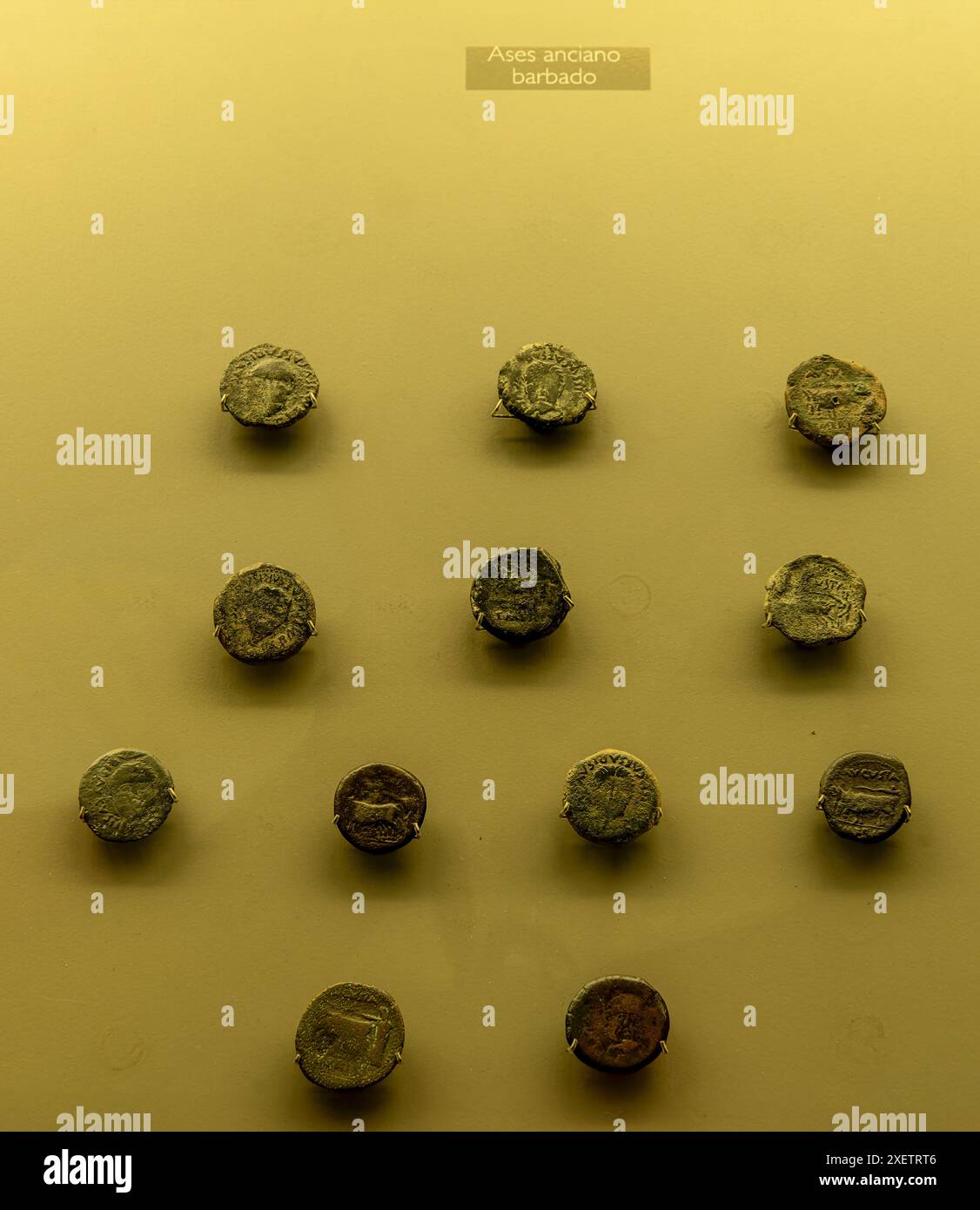 A collection of Roman asses coins featuring the image of a bearded ...