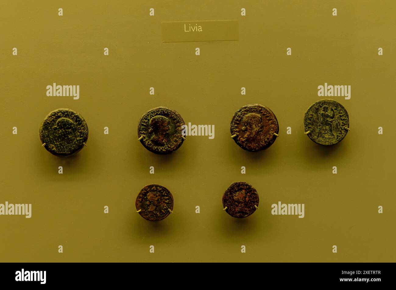 Exhibit of ancient coins depicting Livia, showcasing intricate details ...