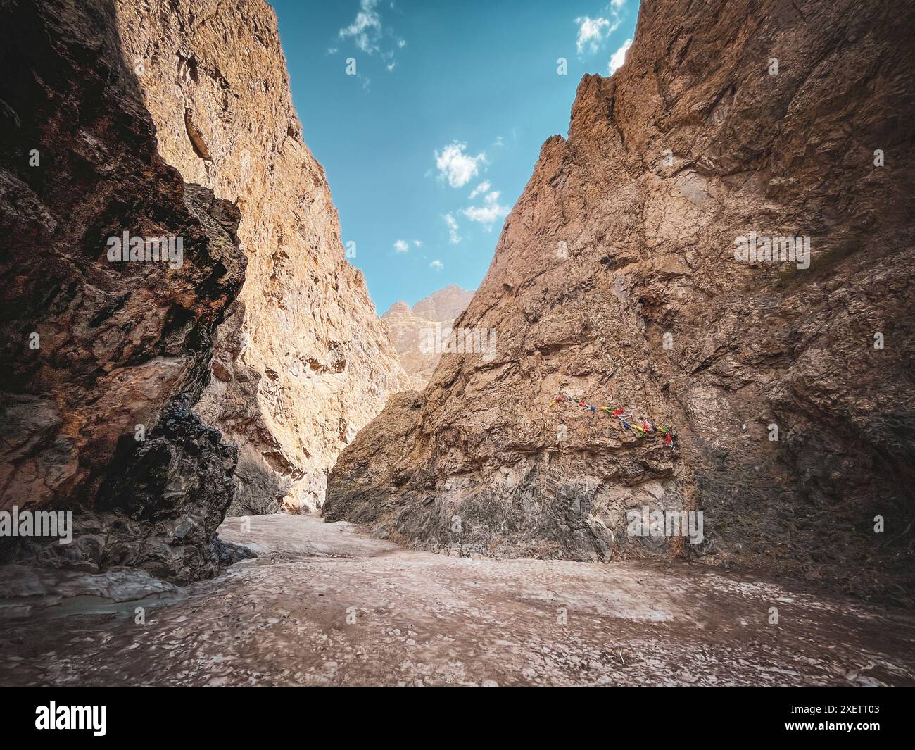 Yoliin Am vally, Gorges of the Bearded Vultures. The ice cover in this ...
