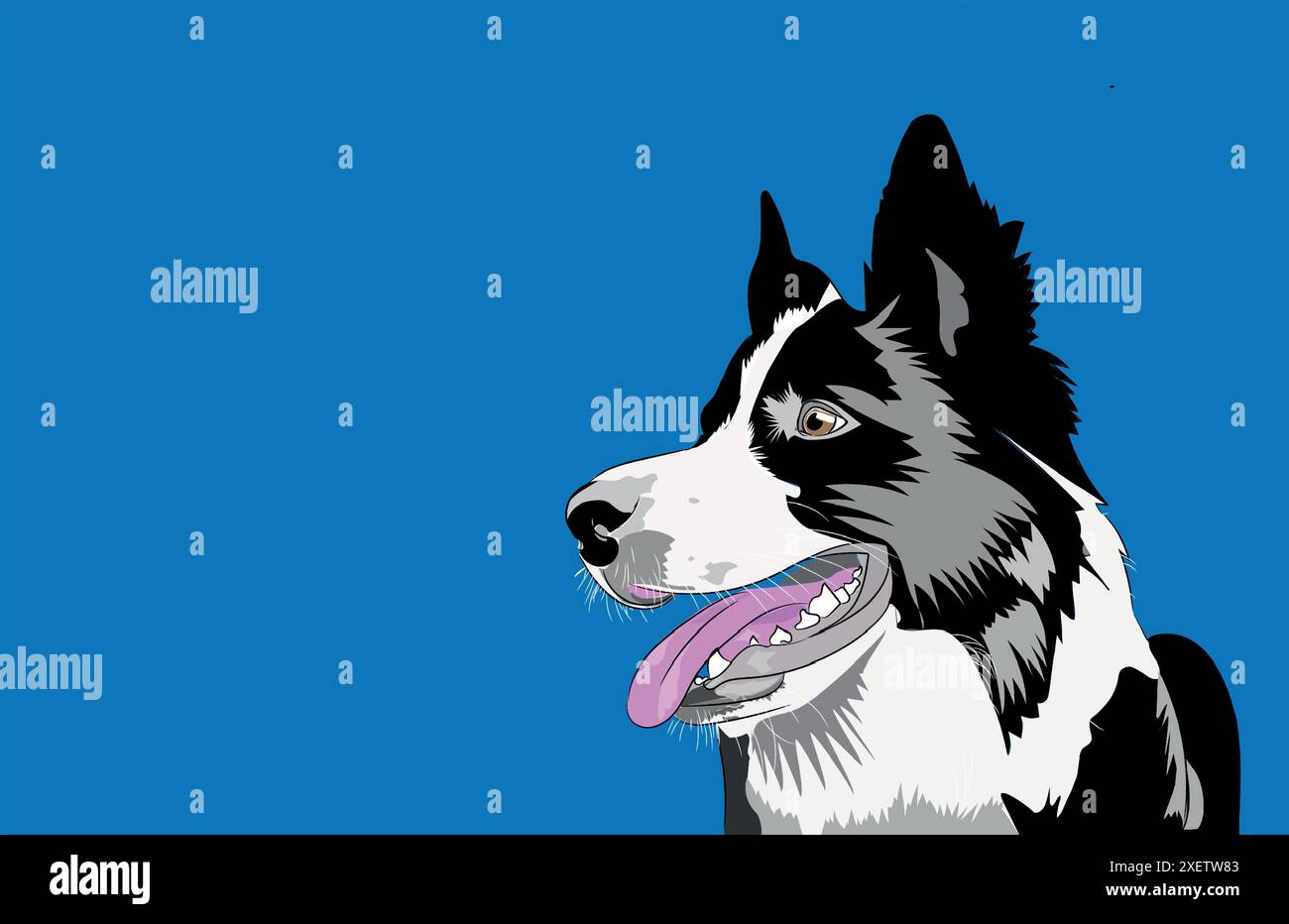 Border collie portrait, dog vector blue background, black and white dog ...