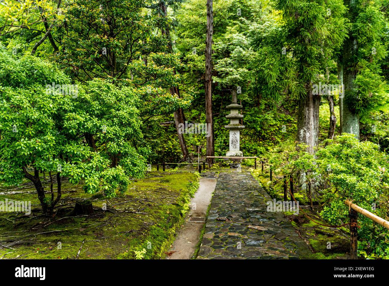 A path with a stone pagoda in the precints of Honen-in Buddhist temple ...