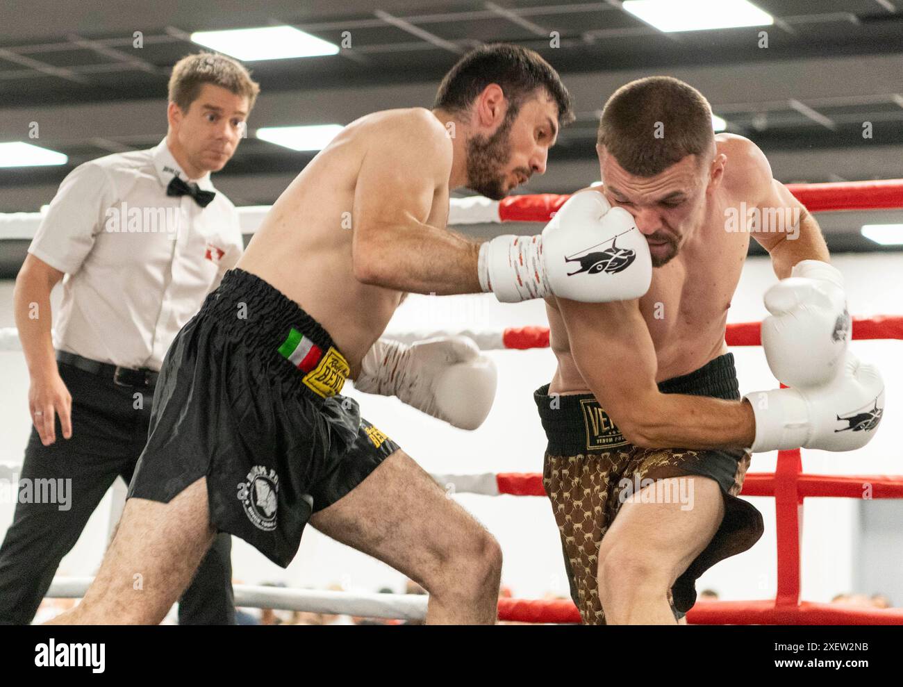 Hiltone hi-res stock photography and images - Alamy