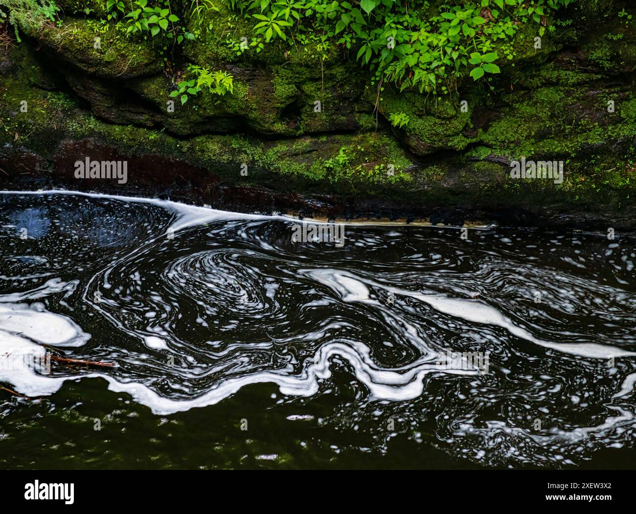 Foam from a waterfall upstream on Kitchen Creek creates foam swirls ...