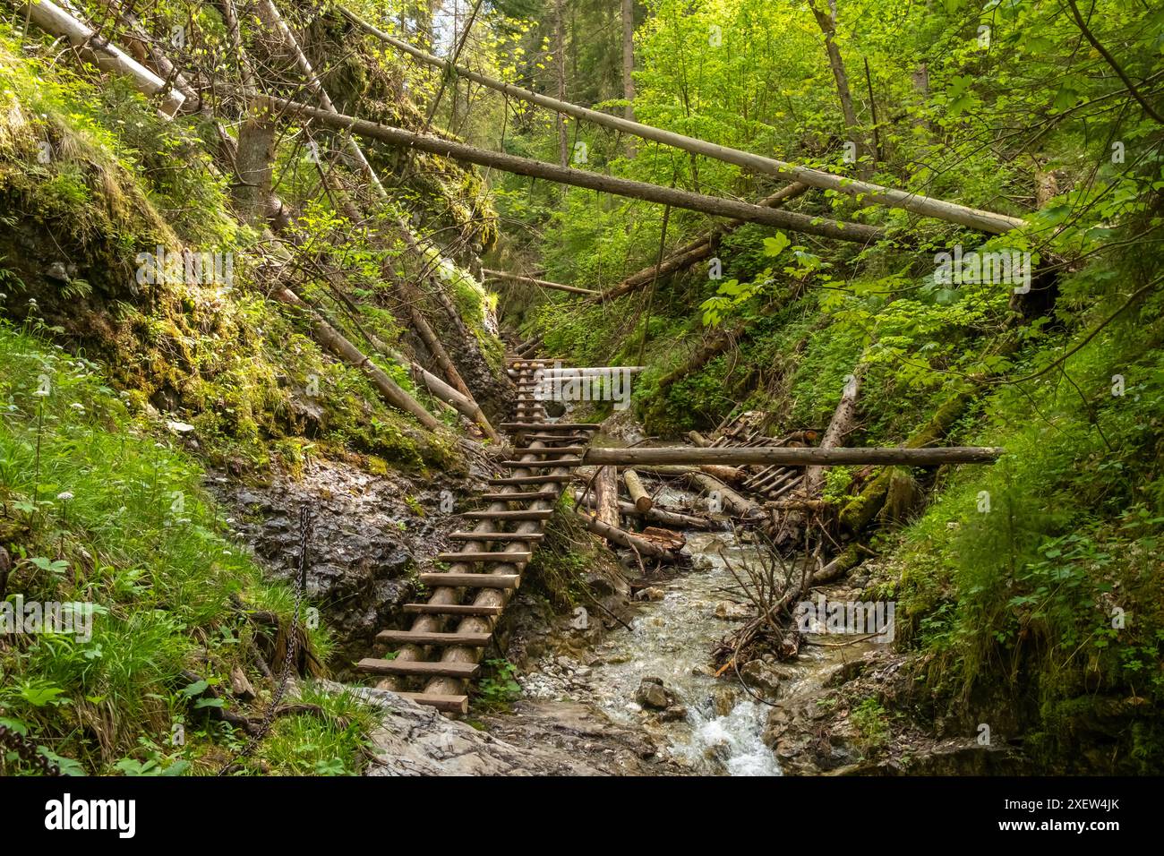Mountain stream in slovak paradise hi-res stock photography and images ...