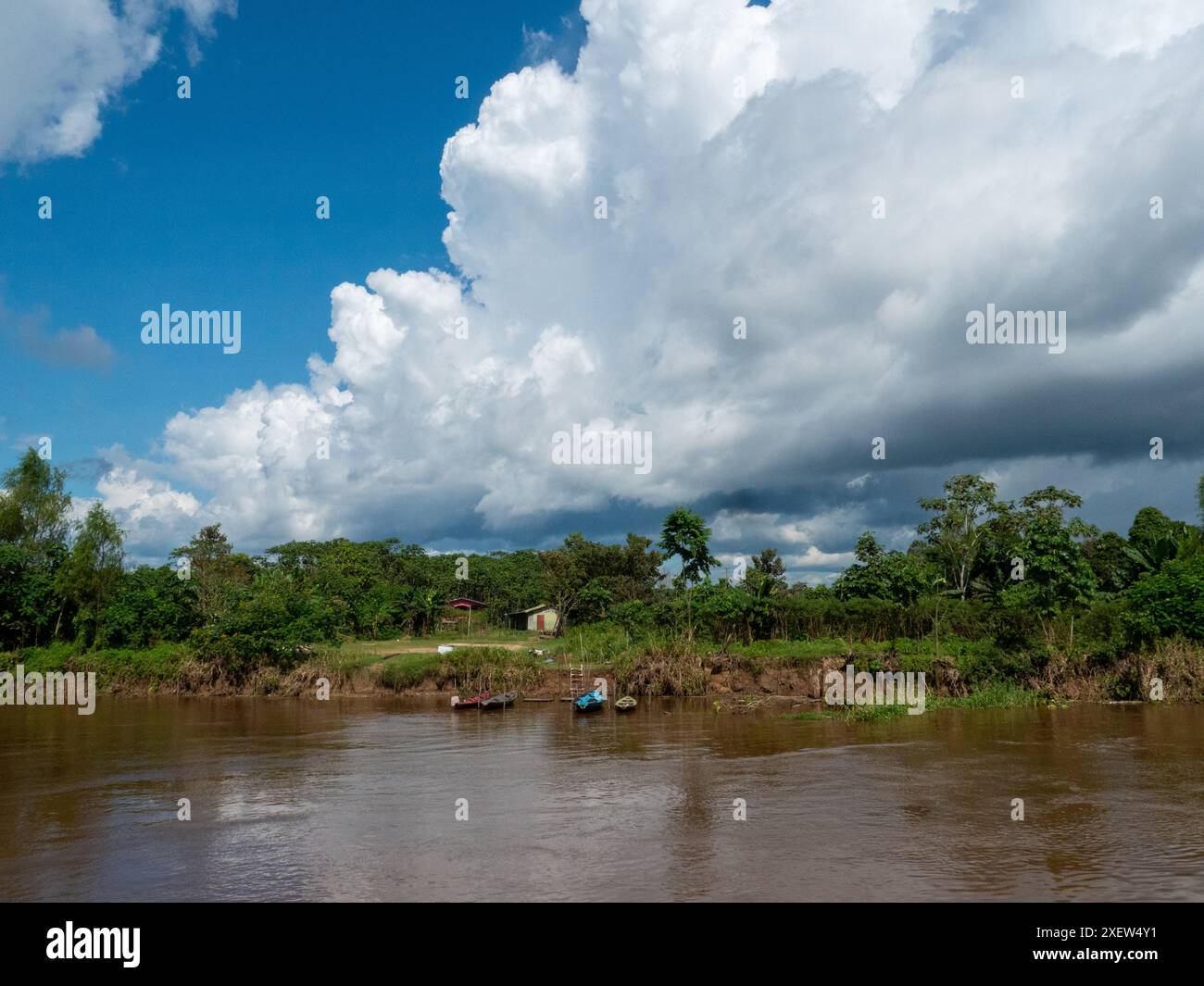 Landscape on the Amazon River (here called Solimões River) east of ...