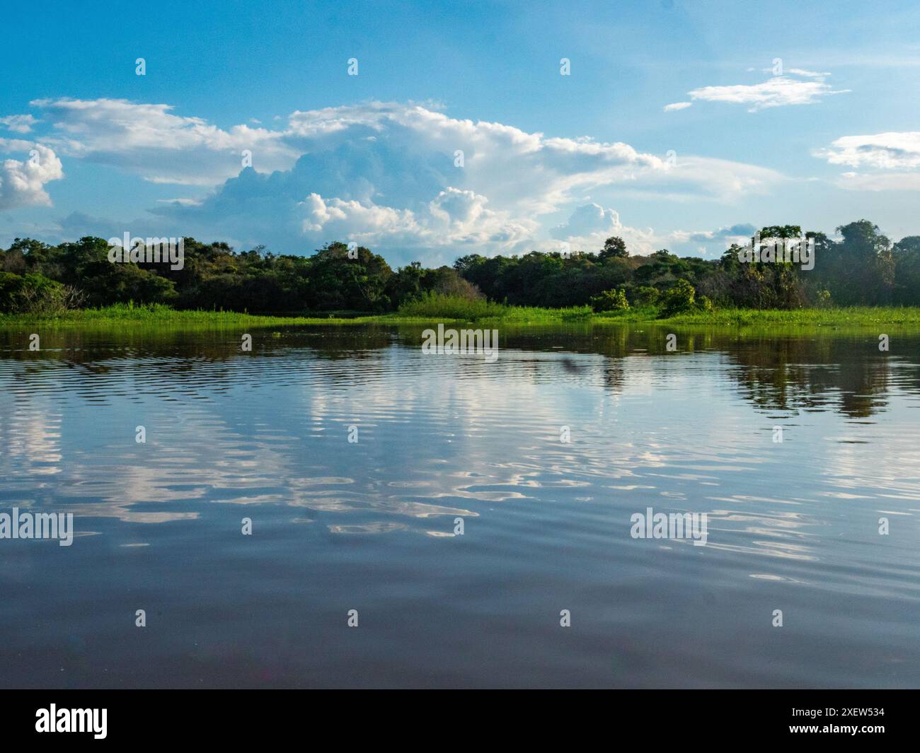 Landscape on the Amazon River (here called Solimões River) east of ...