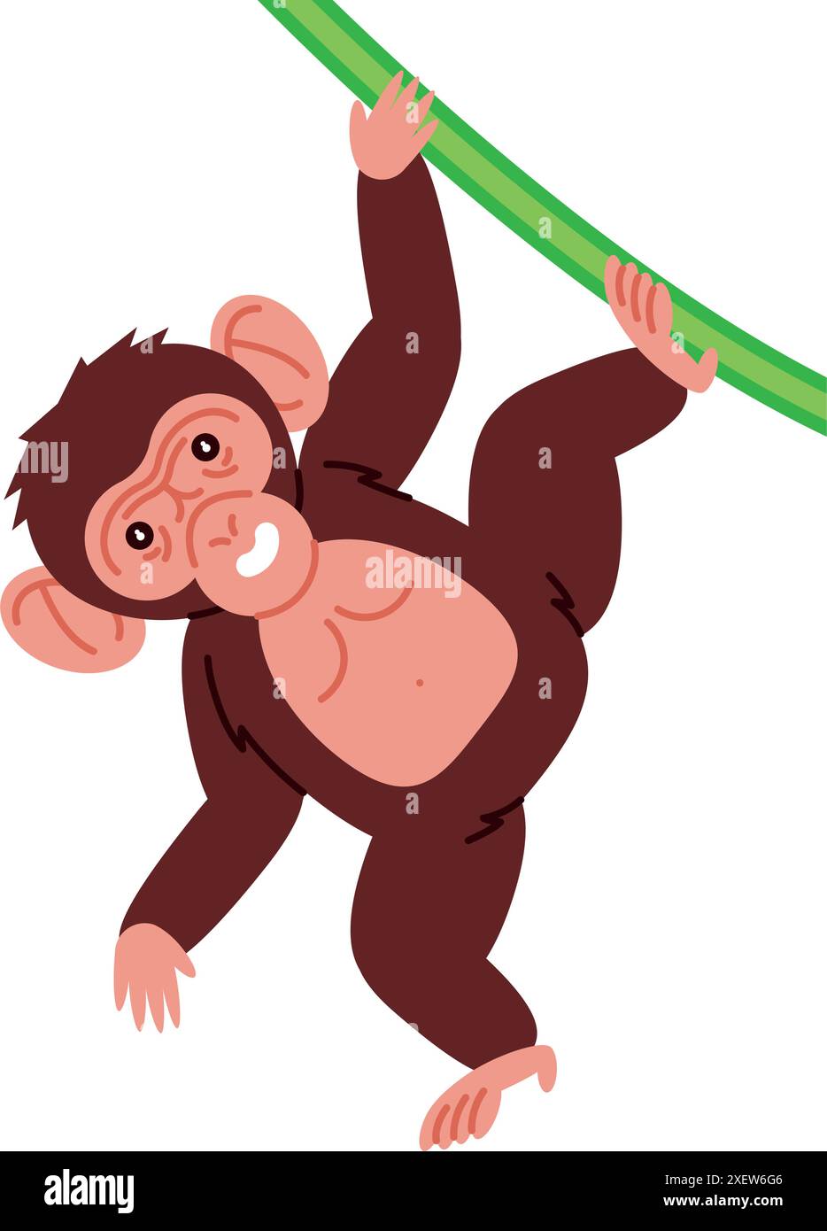 cartoon chimpanzee hanging in tree branch isolated Stock Vector Image ...