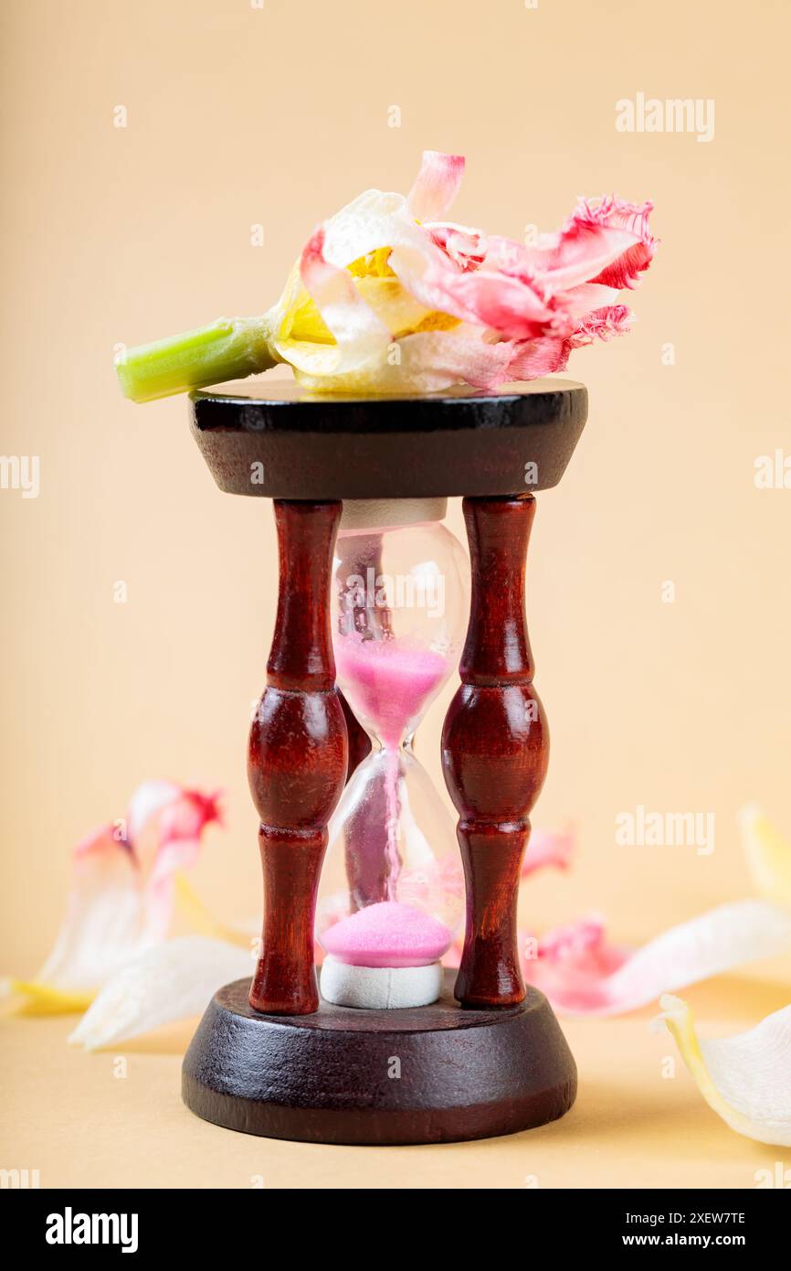 Hourglass and Fading Flower Petals on Beige Background, Concept of ...