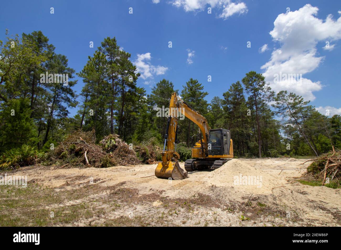 Housing development forest hi-res stock photography and images - Alamy